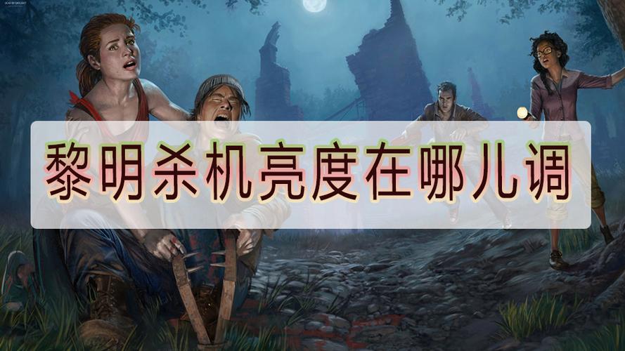 黎明杀机亮度在哪儿调截图