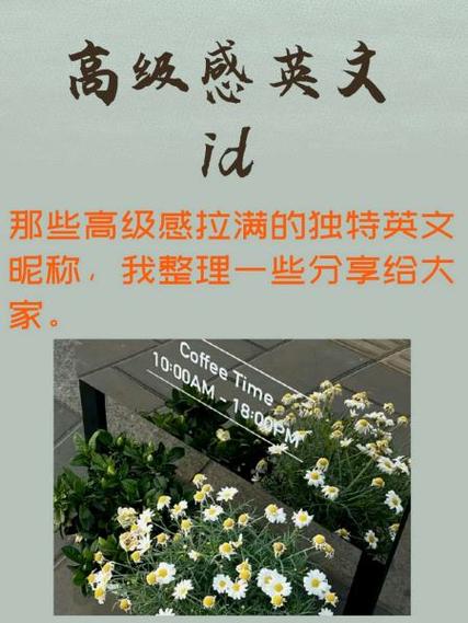 coisini的中文意思截图