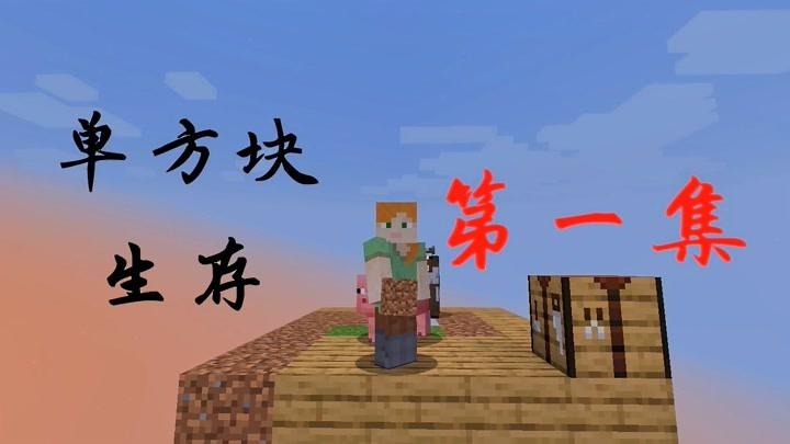 我的世界单方块生存1图标