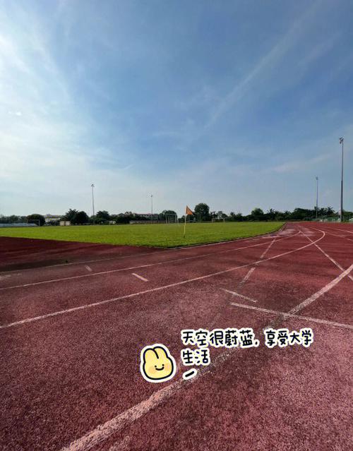 我的校园生活100字截图