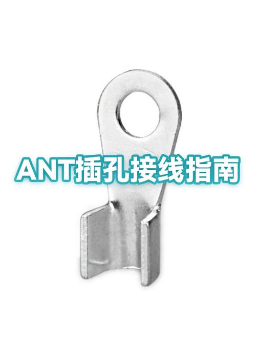 ant输入接口用什么线图标