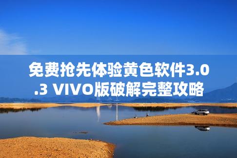 vivov钻破解器截图