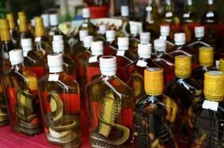 赤练蛇的功效与作用截图