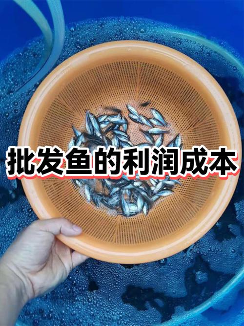 养什么鱼赚钱利润高