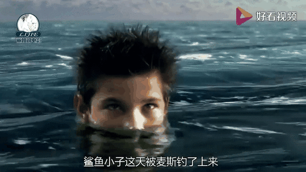 鲨鱼小子图标