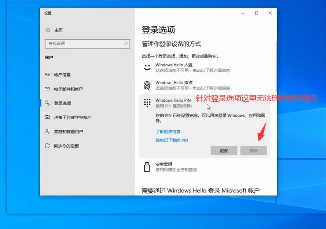 苹果双系统忘记win10密码图标