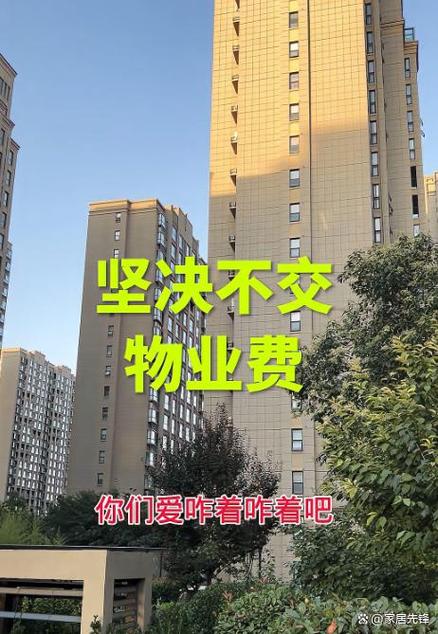 收物业费还收电梯费合理吗