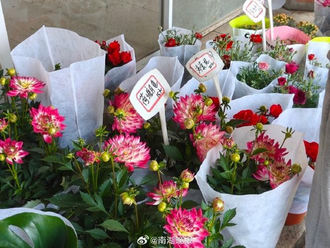i购花截图