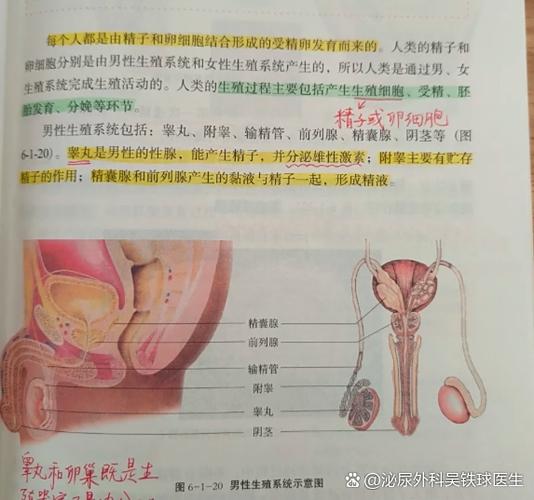 什么叫做生殖活动截图