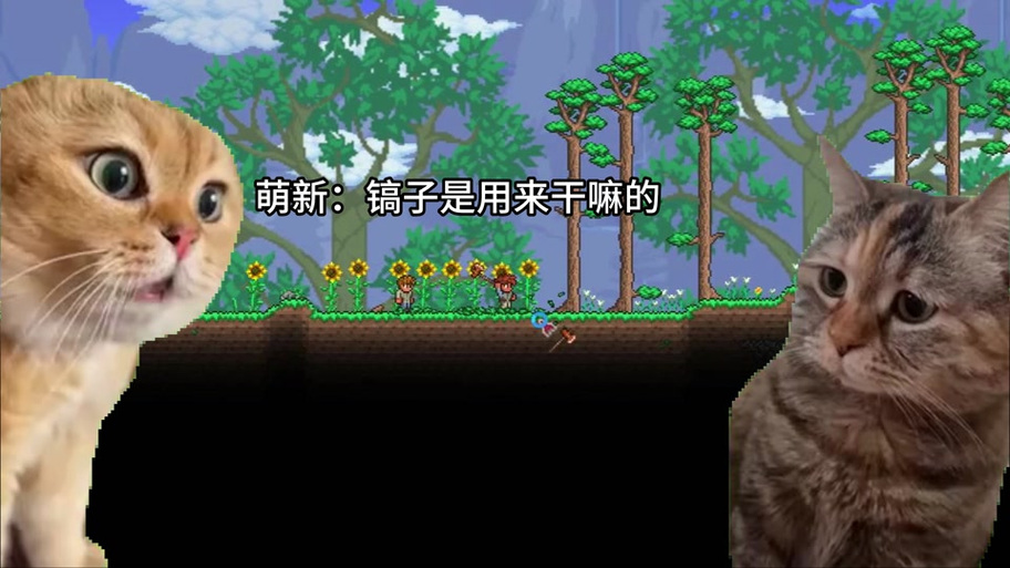 泰拉瑞亚东西突然不见了怎么办图标