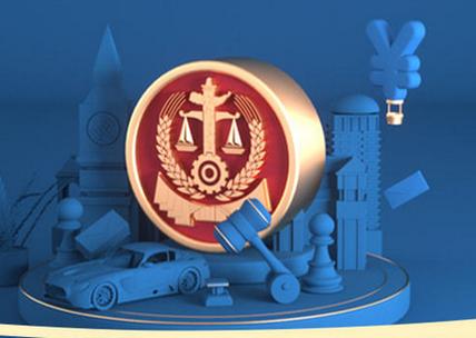 司法拍卖网络平台图标