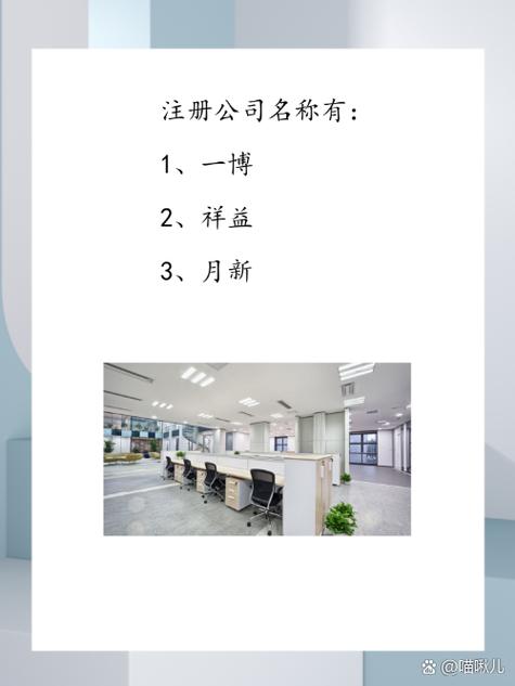 注册公司选名字截图
