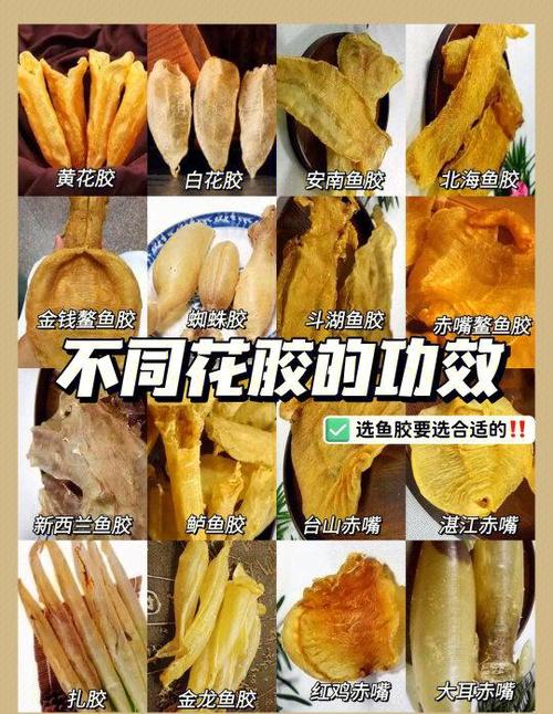 鱼胶干放了20年还可以吃吗图标