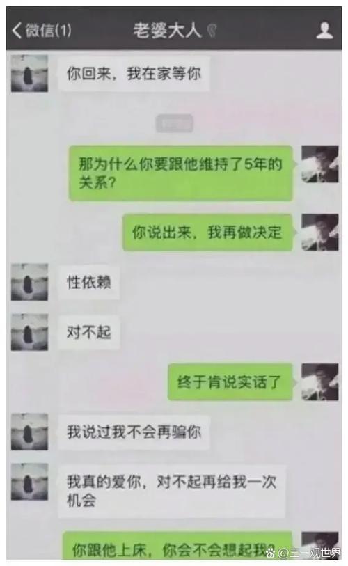 情感聊天记录