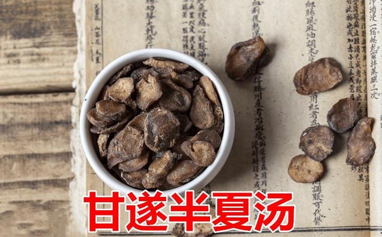 半夏甘草汤组成图标