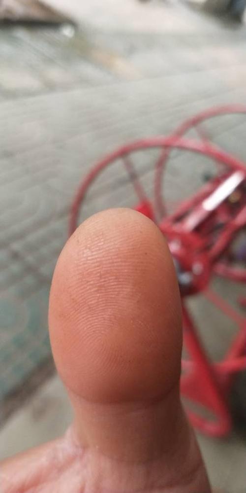 指纹毁了还能恢复吗图标
