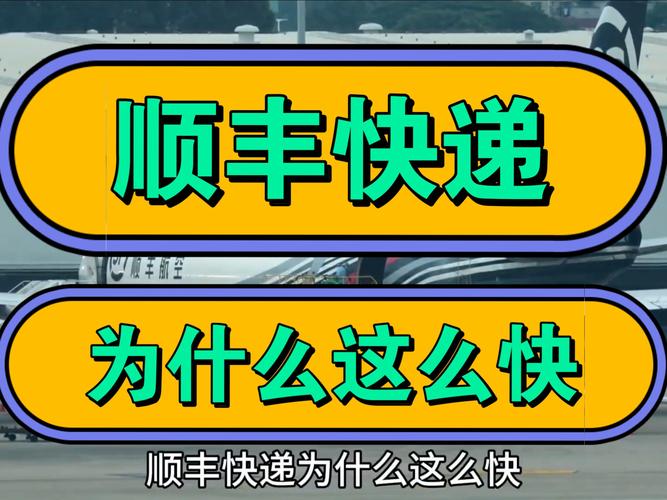 为什么顺丰速度那么快截图