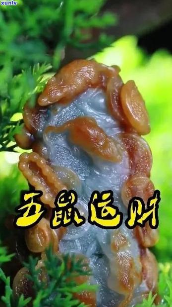 老鼠数铜钱什么寓意图标