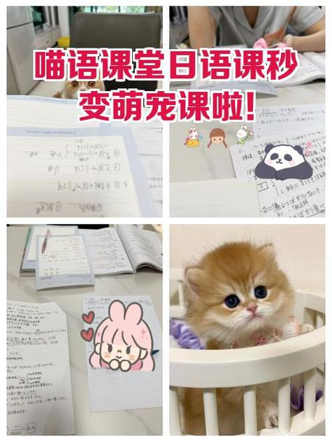 gn是什么网络用语图标