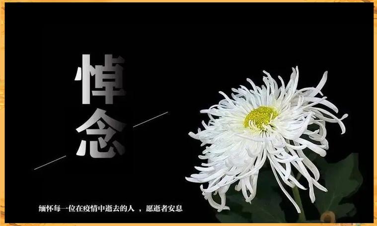怀念一般用于什么人图标