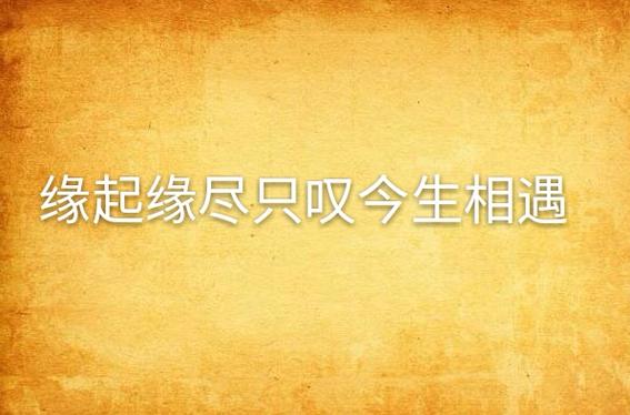 相遇并非偶然下一句图标