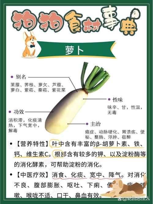 萝卜的药用功效和作用图标