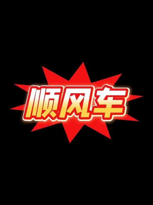 顺风车网图标