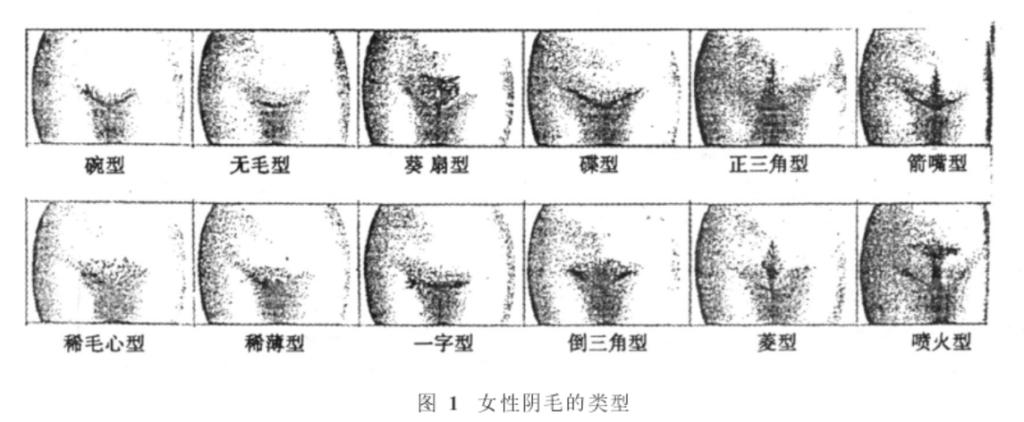 女性三角毛毛区长了块白斑图标