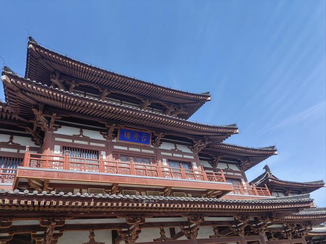 西安淘金阁图标