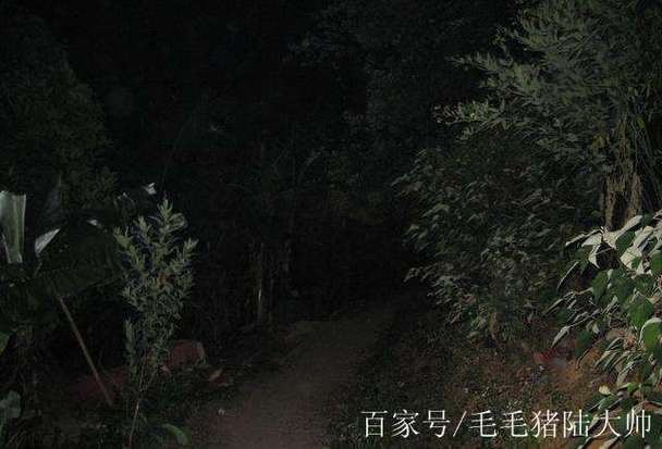 乡村闹鬼真实故事图标