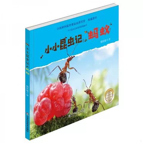 小小昆虫记图标