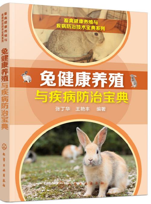 肉兔养殖技术图标