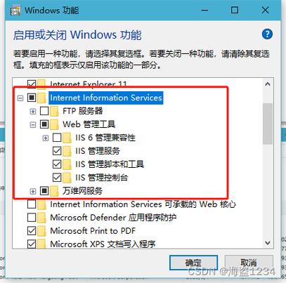 windows iis配置图标