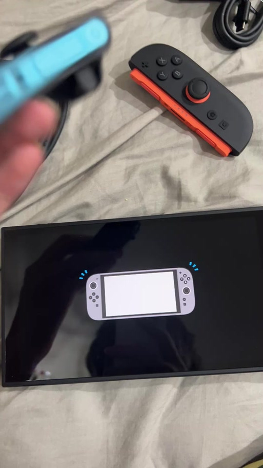 switch第三方充电器变砖截图