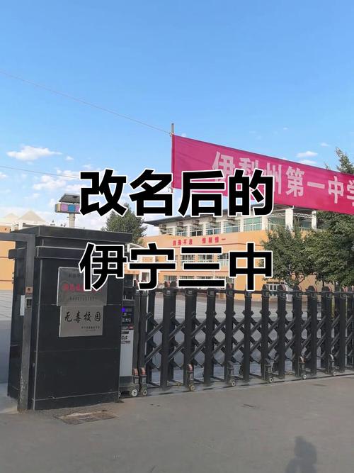 伊宁三中张伊宁截图