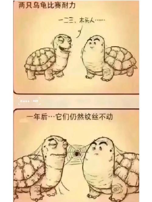 两个人抽乌龟谁先截图