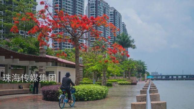 杭州微风传媒图标