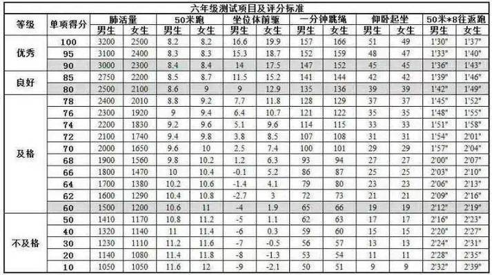 体质健康综合素50字