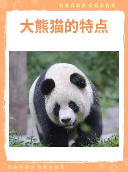 我在大唐开酒馆小胖的熊猫图标