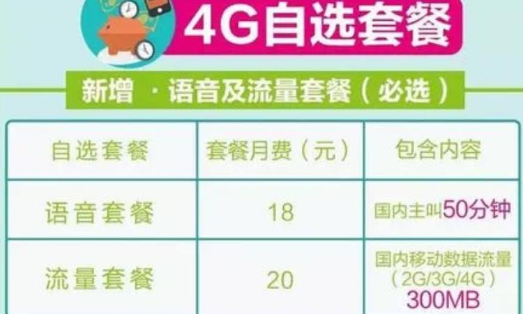 套餐中的语音是指电话吗图标