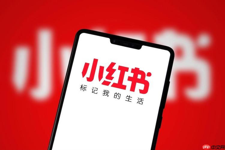 搜索小红书号搜不到是怎么回事