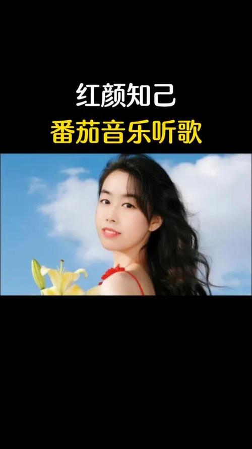 番茄音乐歌曲图标