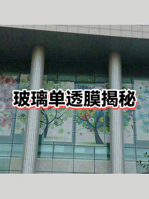 单透玻璃贴膜图标