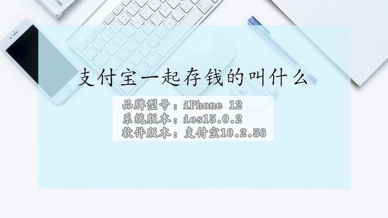 支付宝存钱的叫什么图标