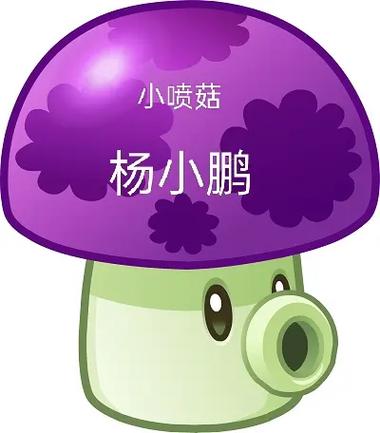 阳光菇是男是女