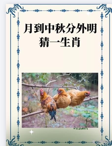 2024小鸡今日答案1.27截图
