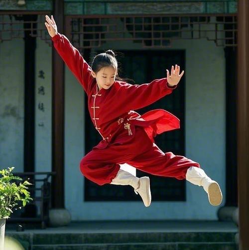 中华传统武术800字左右截图