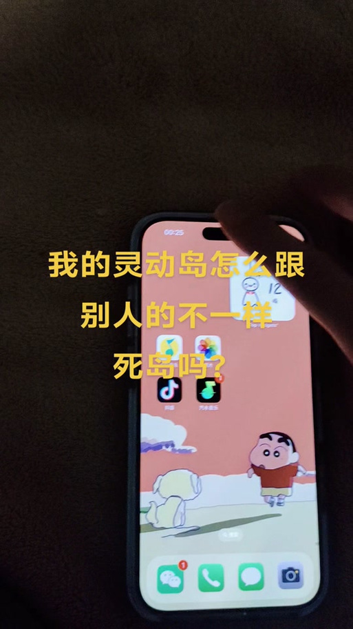 灵动岛右边一个黑色圆点截图