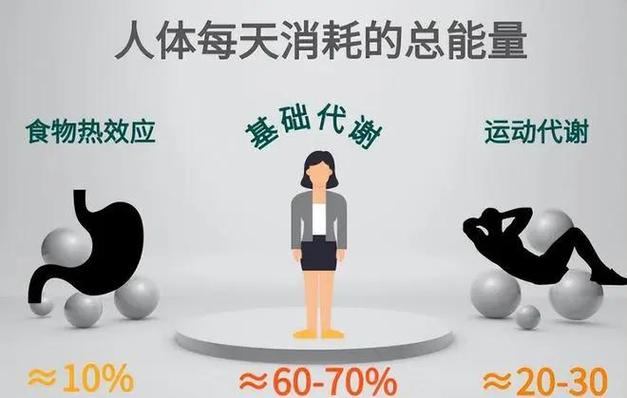 经期每天消耗能量会多吗截图