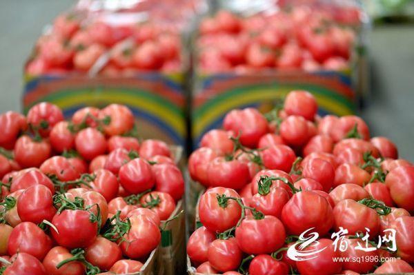 一农食品有限公司图标